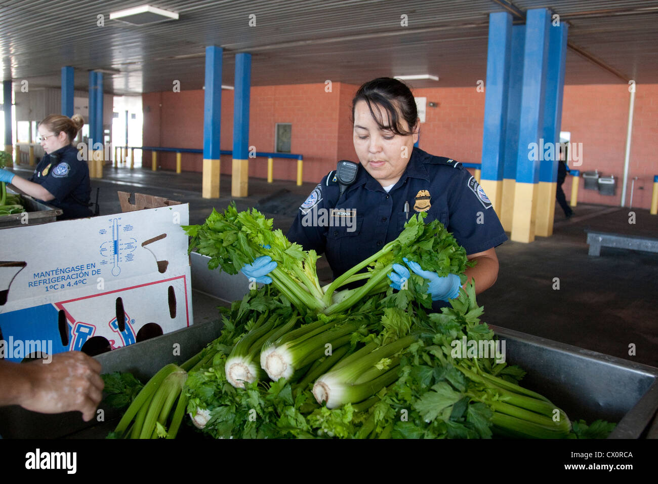 Female agriculture specialists for U.S Customs and Border Protection ...
