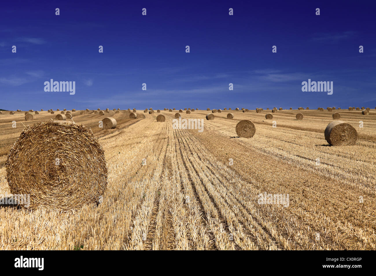 Rolled bails hi-res stock photography and images - Alamy