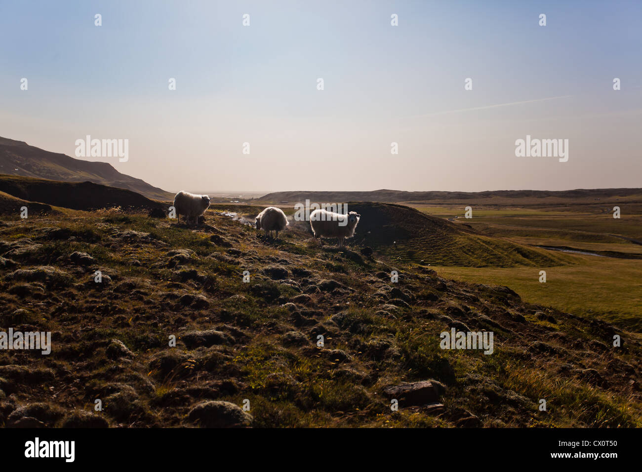 The Highlands of Iceland, Europe Stock Photo - Alamy