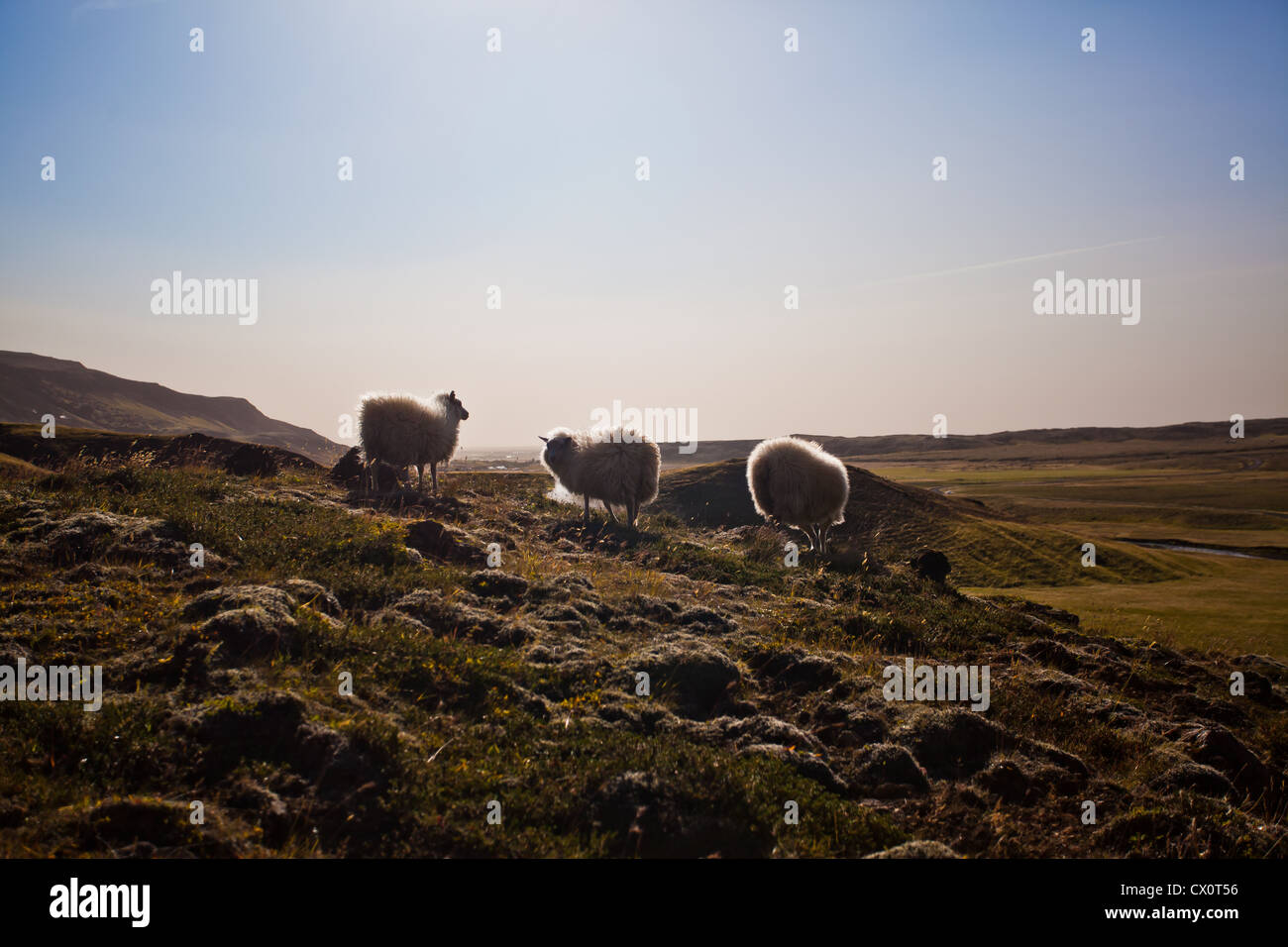 The Highlands of Iceland, Europe Stock Photo - Alamy