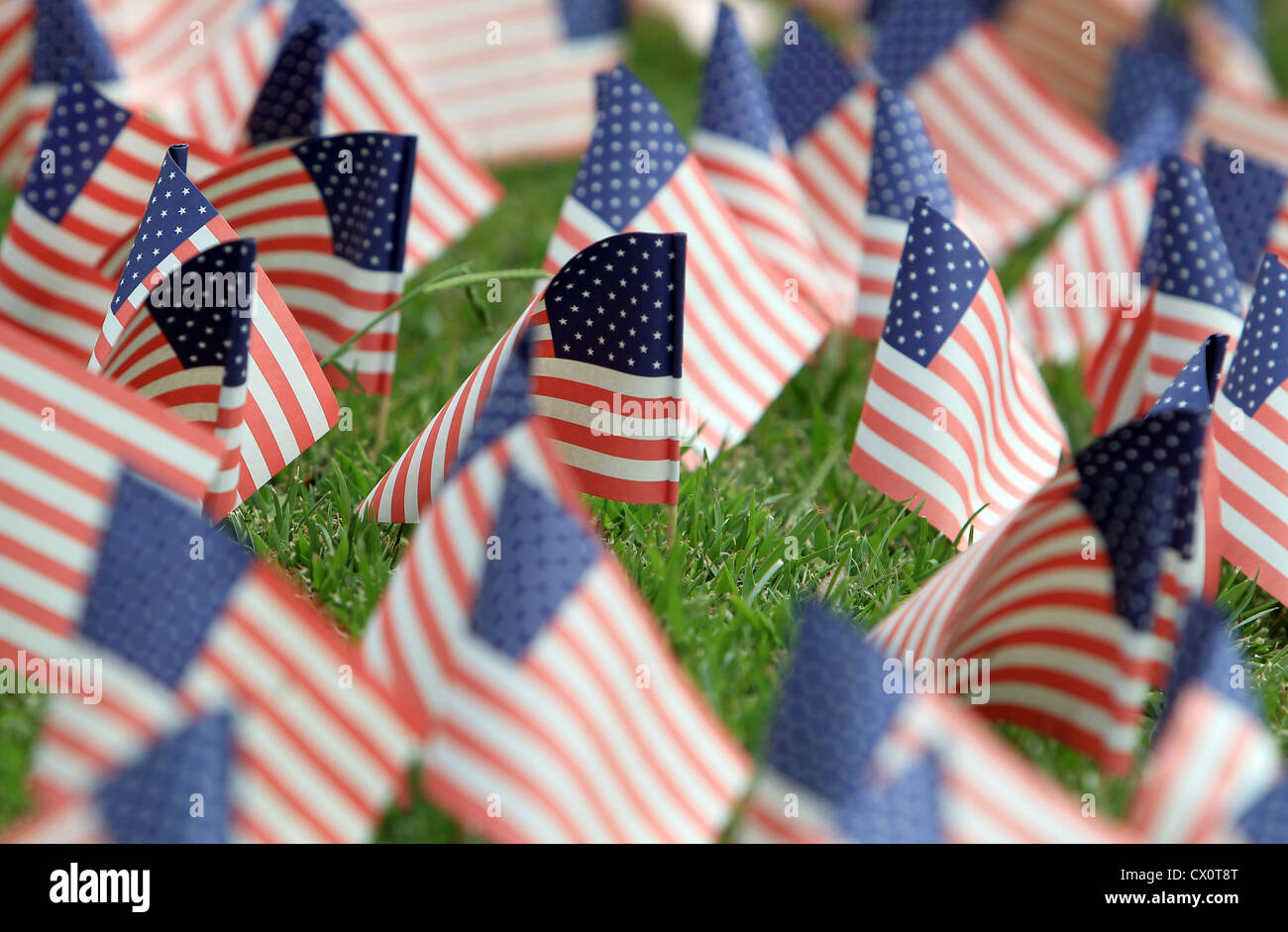 The American Flag Stock Photo - Alamy