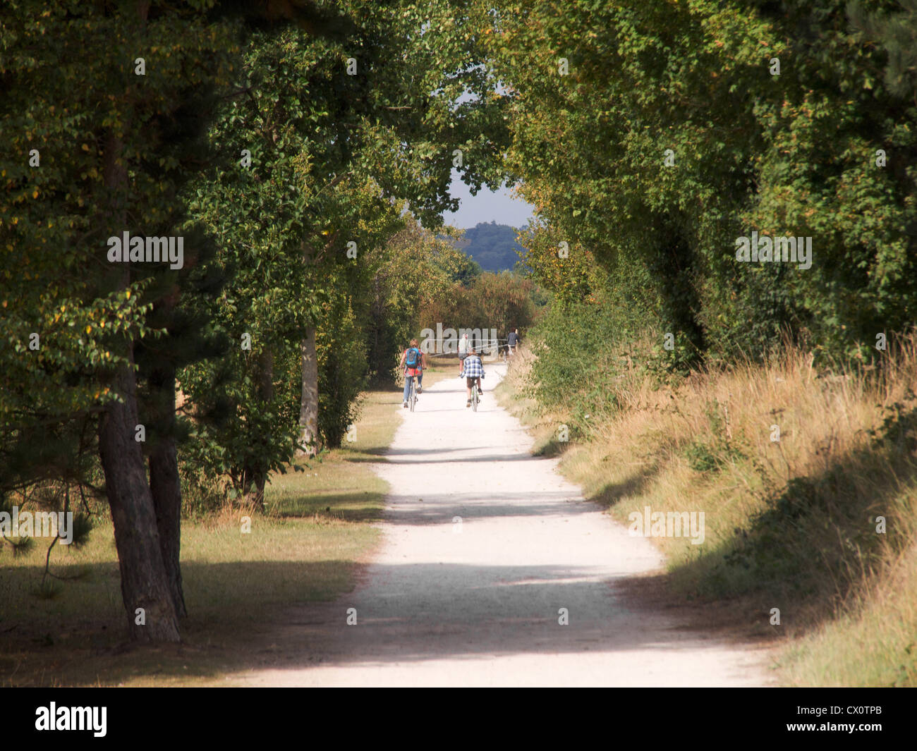 path in countryside with people on bikes Stock Photo - Alamy