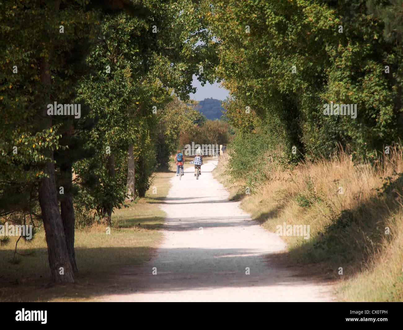 path in countryside with people on bikes Stock Photo - Alamy