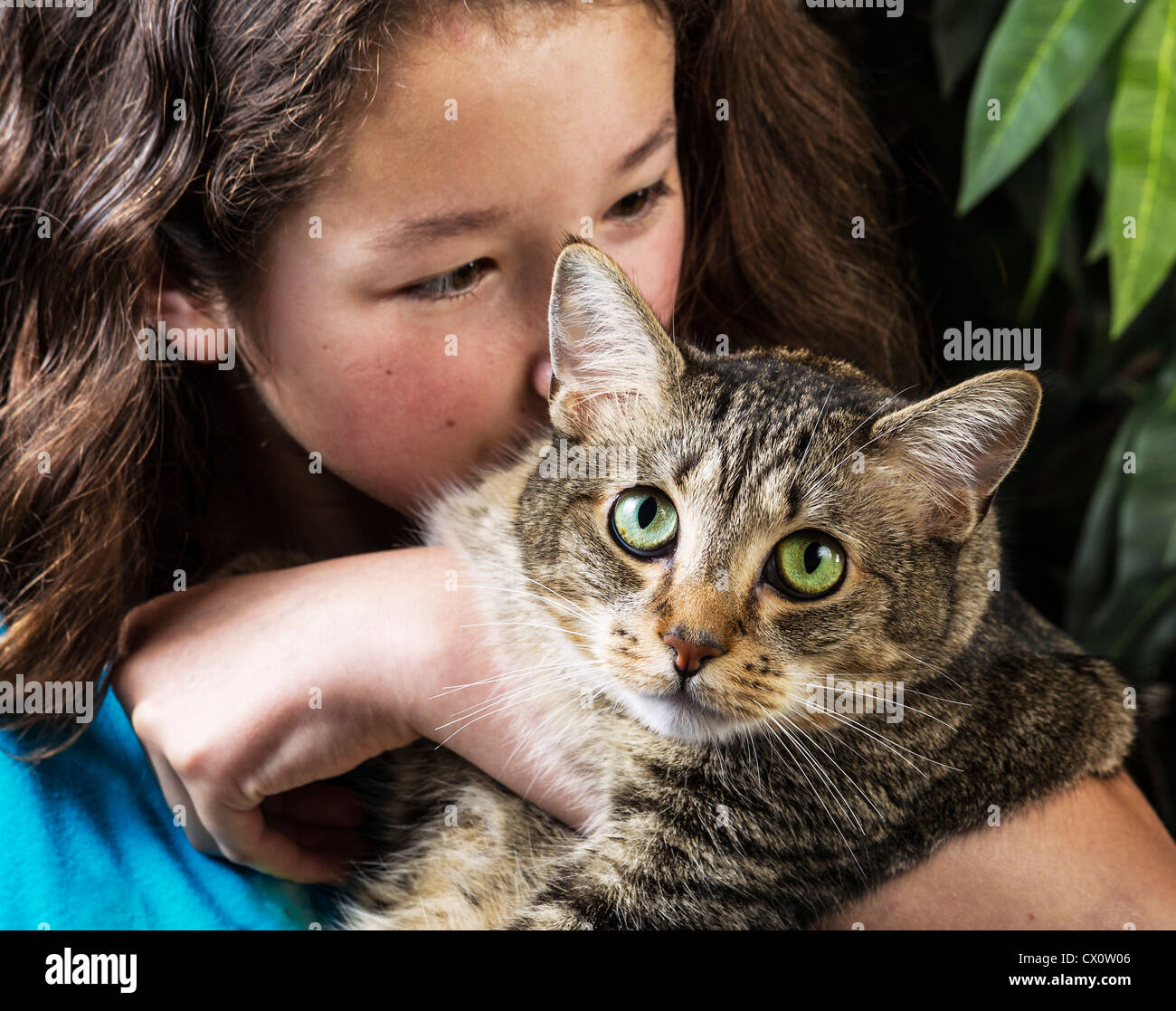 Young Asian girl cuddling tabby cat with green plant in background ...