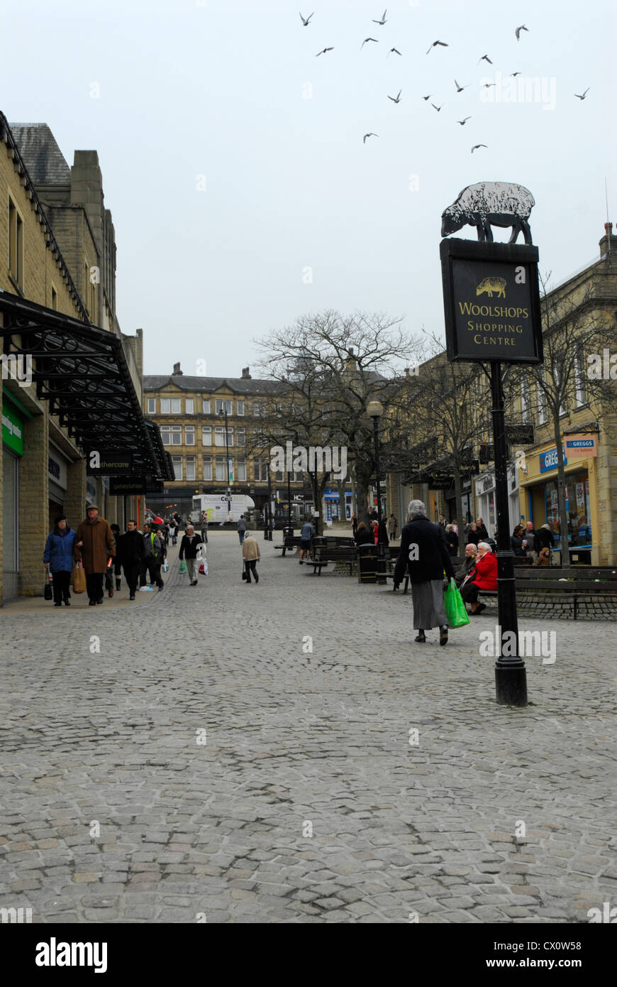 Halifax birding hi-res stock photography and images - Alamy