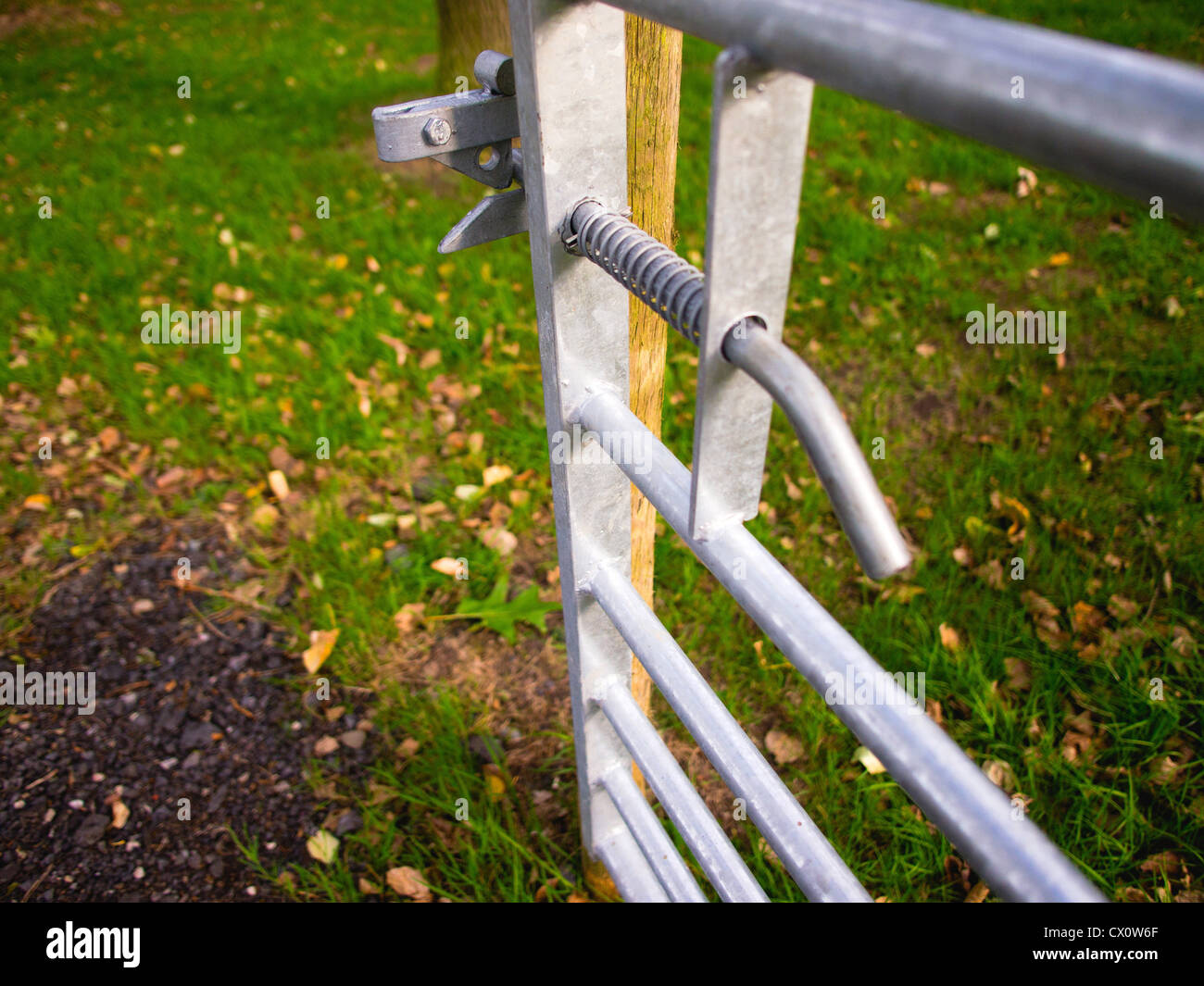 metal gate in english woods Stock Photo - Alamy