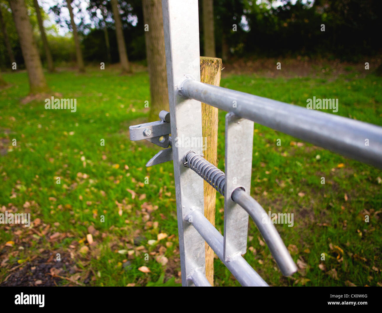 Gate in the woods hi-res stock photography and images - Alamy
