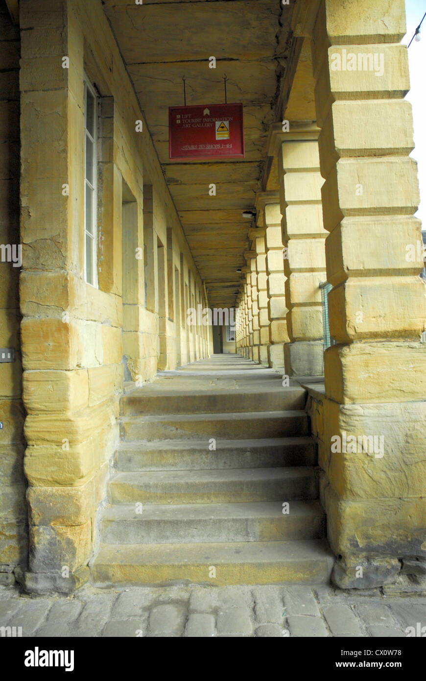 Halifax birding hi-res stock photography and images - Alamy