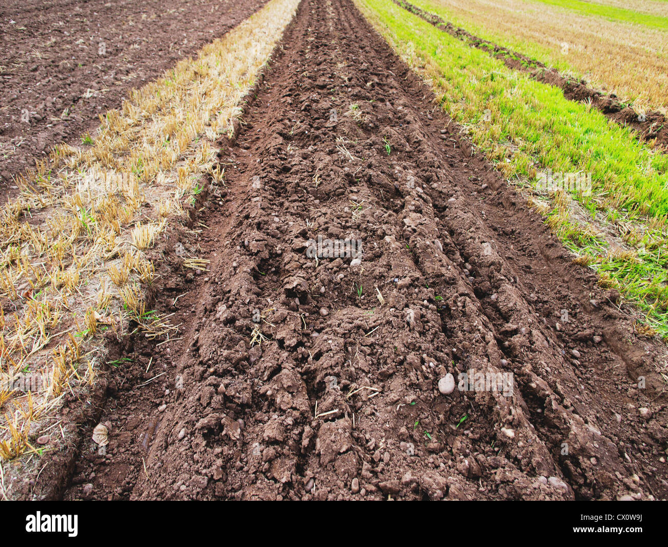 Ploughed field deep furrows hi-res stock photography and images - Alamy