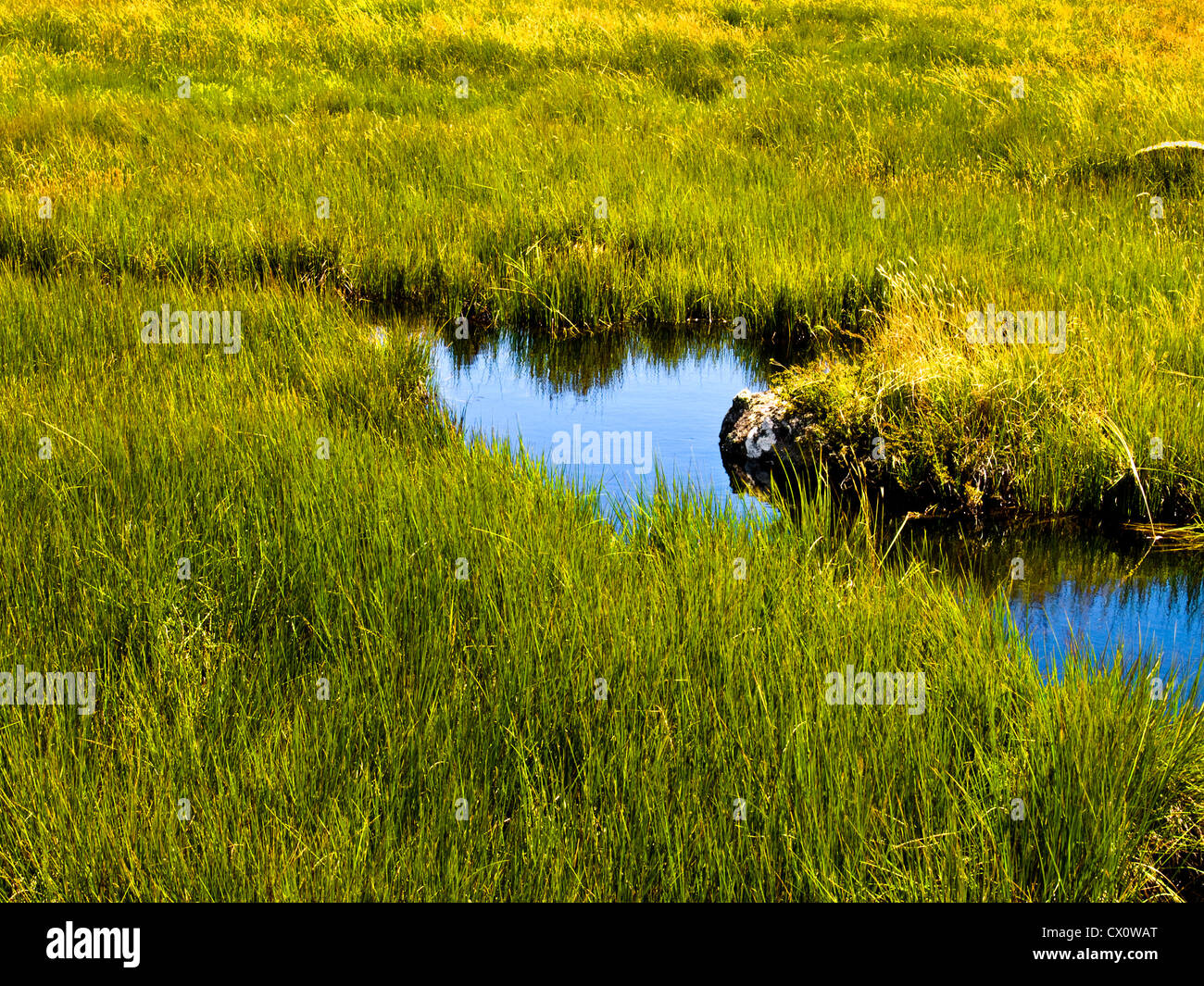Alpine creek hi-res stock photography and images - Alamy
