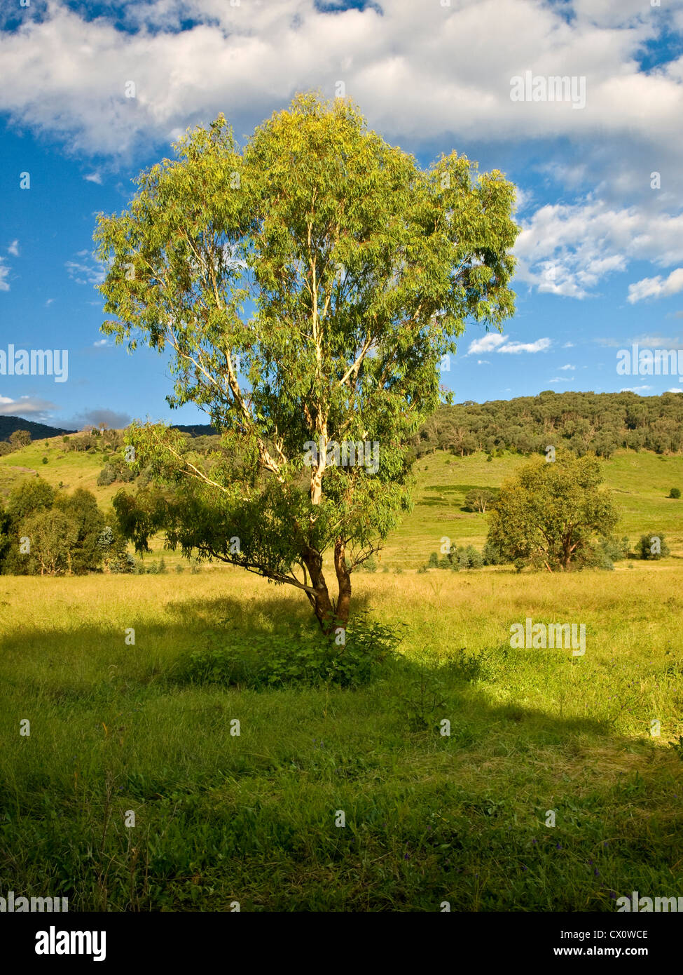 Blowering dam hi-res stock photography and images - Alamy