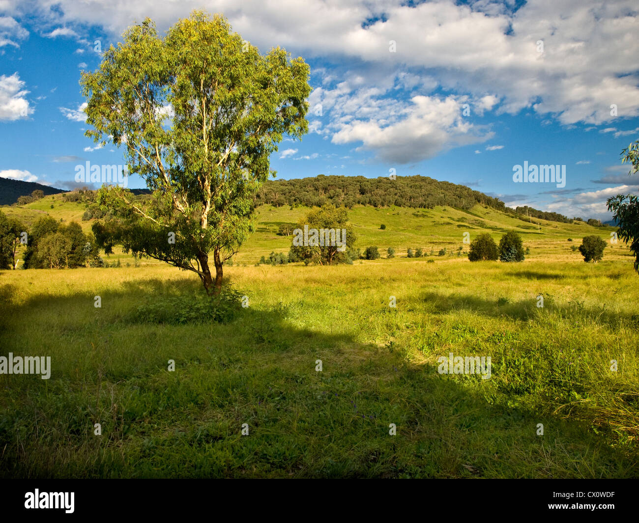 Blowering dam hi-res stock photography and images - Alamy