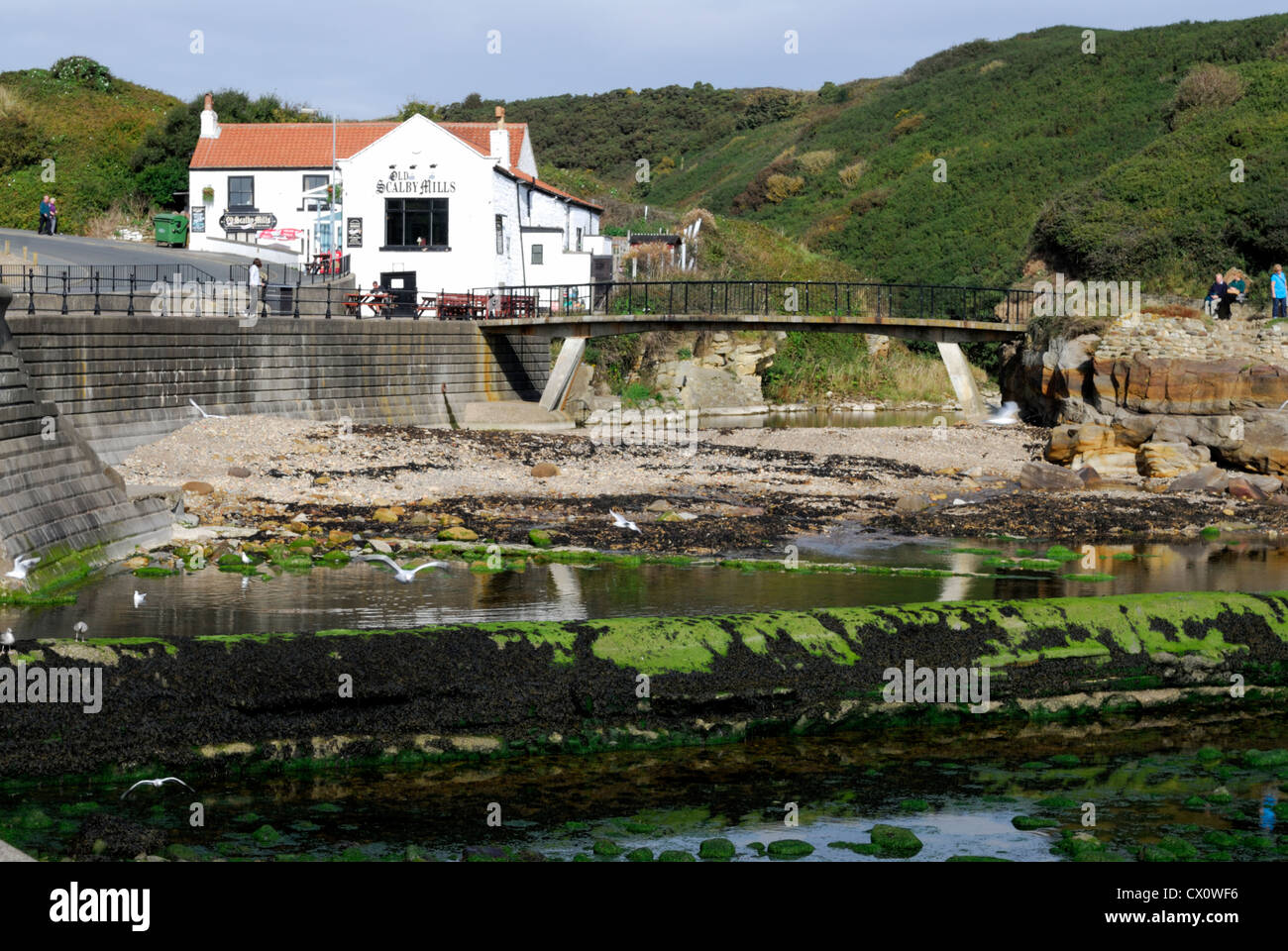 Scalby mills scarborough hi-res stock photography and images - Alamy
