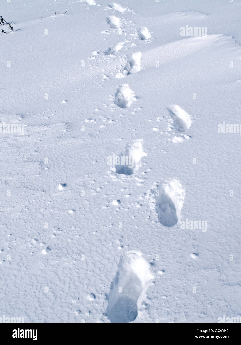 Footsteps in snow hi-res stock photography and images - Alamy