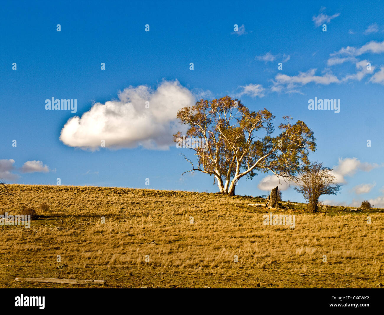 Berridale nsw hi-res stock photography and images - Alamy