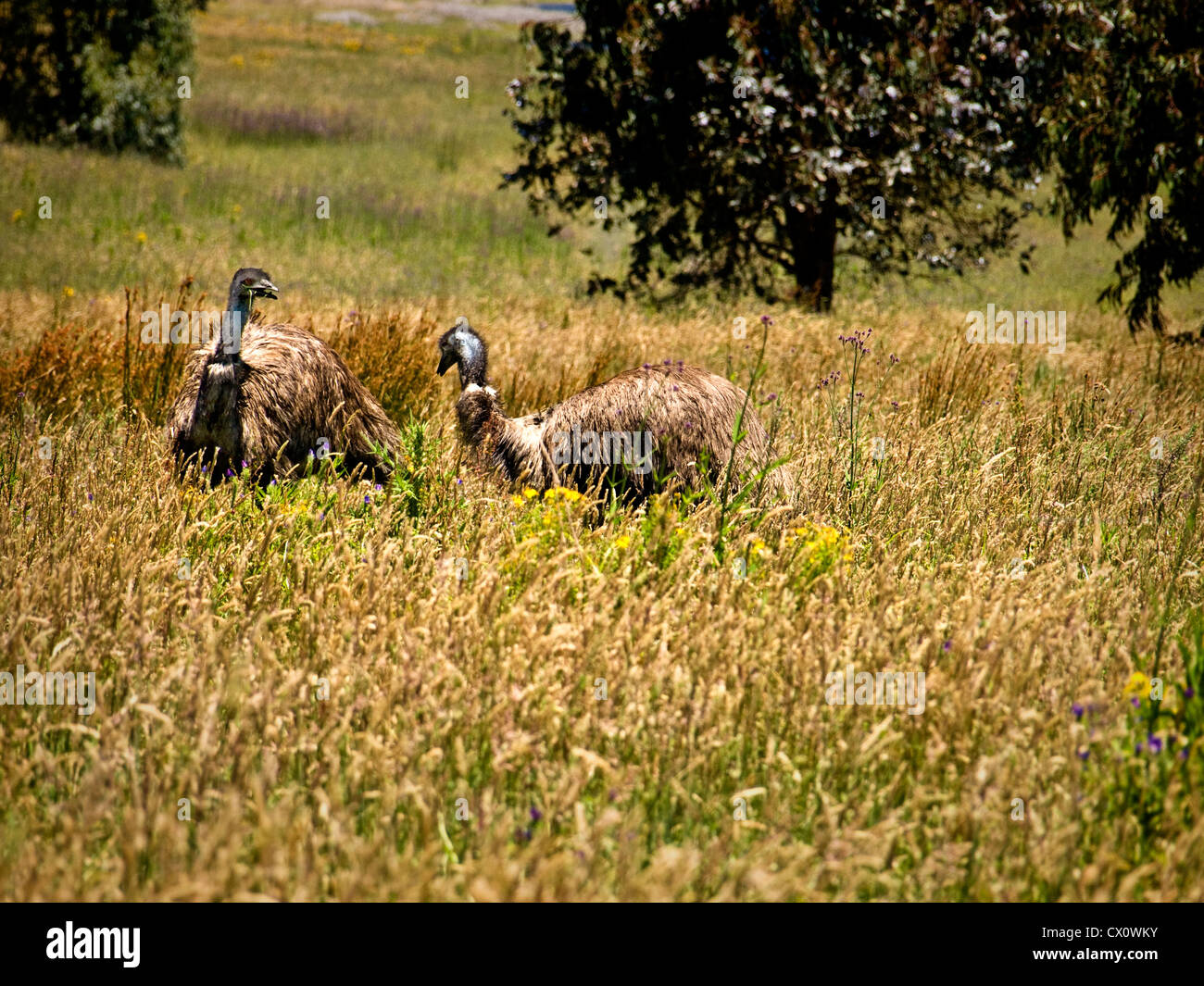 Blowering dam hi-res stock photography and images - Alamy