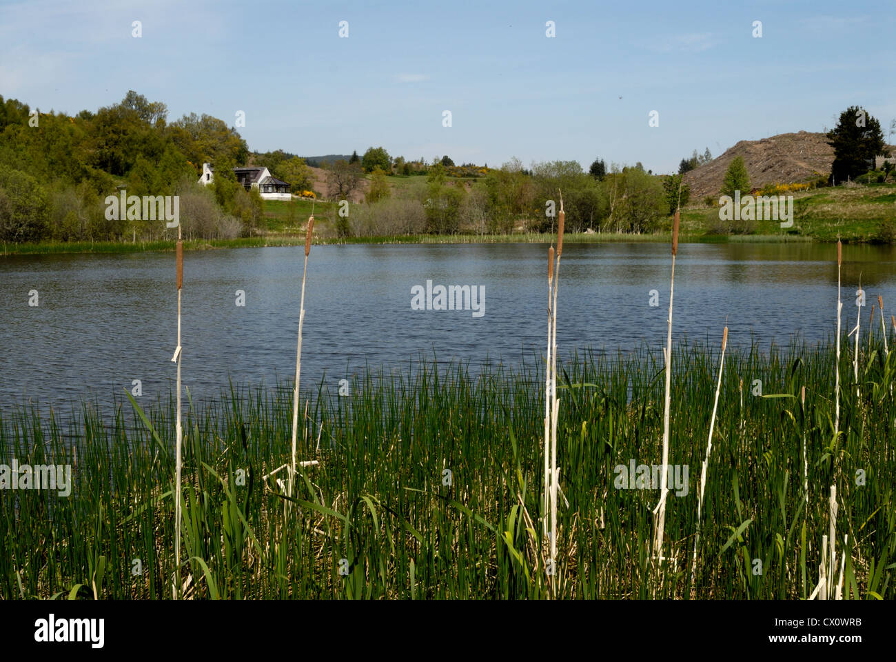 Scottish sea lochs hi-res stock photography and images - Alamy