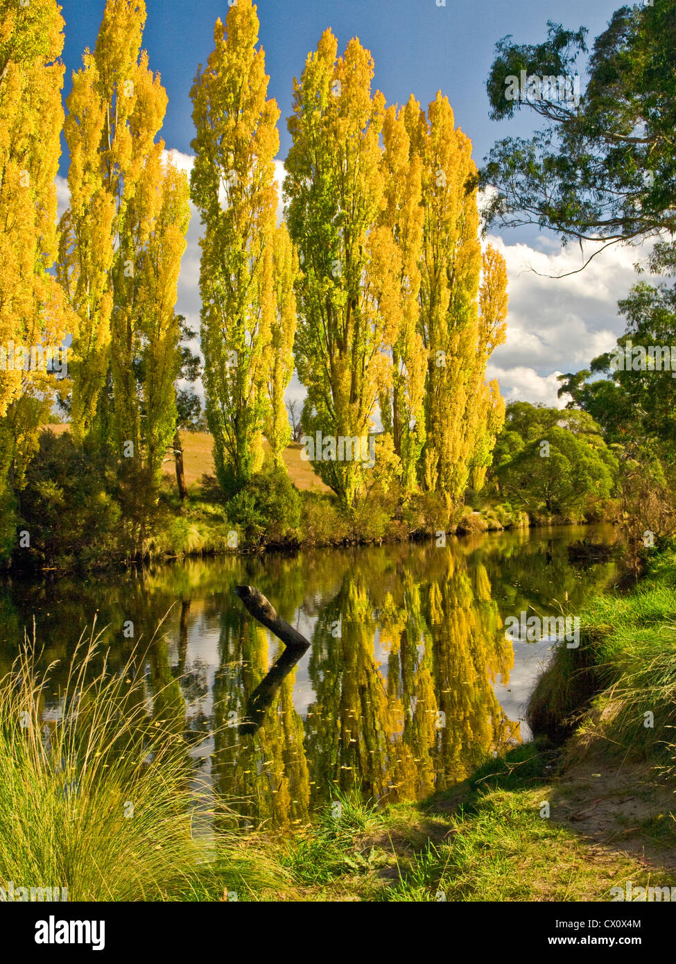 Snowy mountains australia hi-res stock photography and images - Alamy