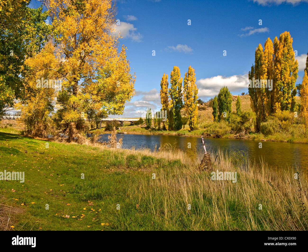 Snowy River, Dalgety, Snowy Mountains, New South Wales, Australia ...