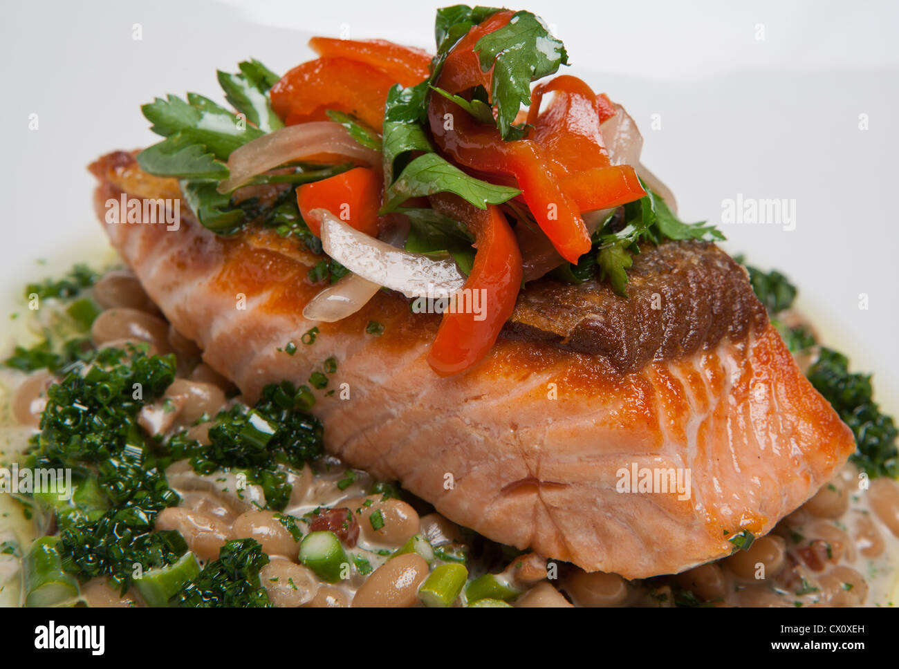 Color photograph of grilled salmon dish Stock Photo - Alamy