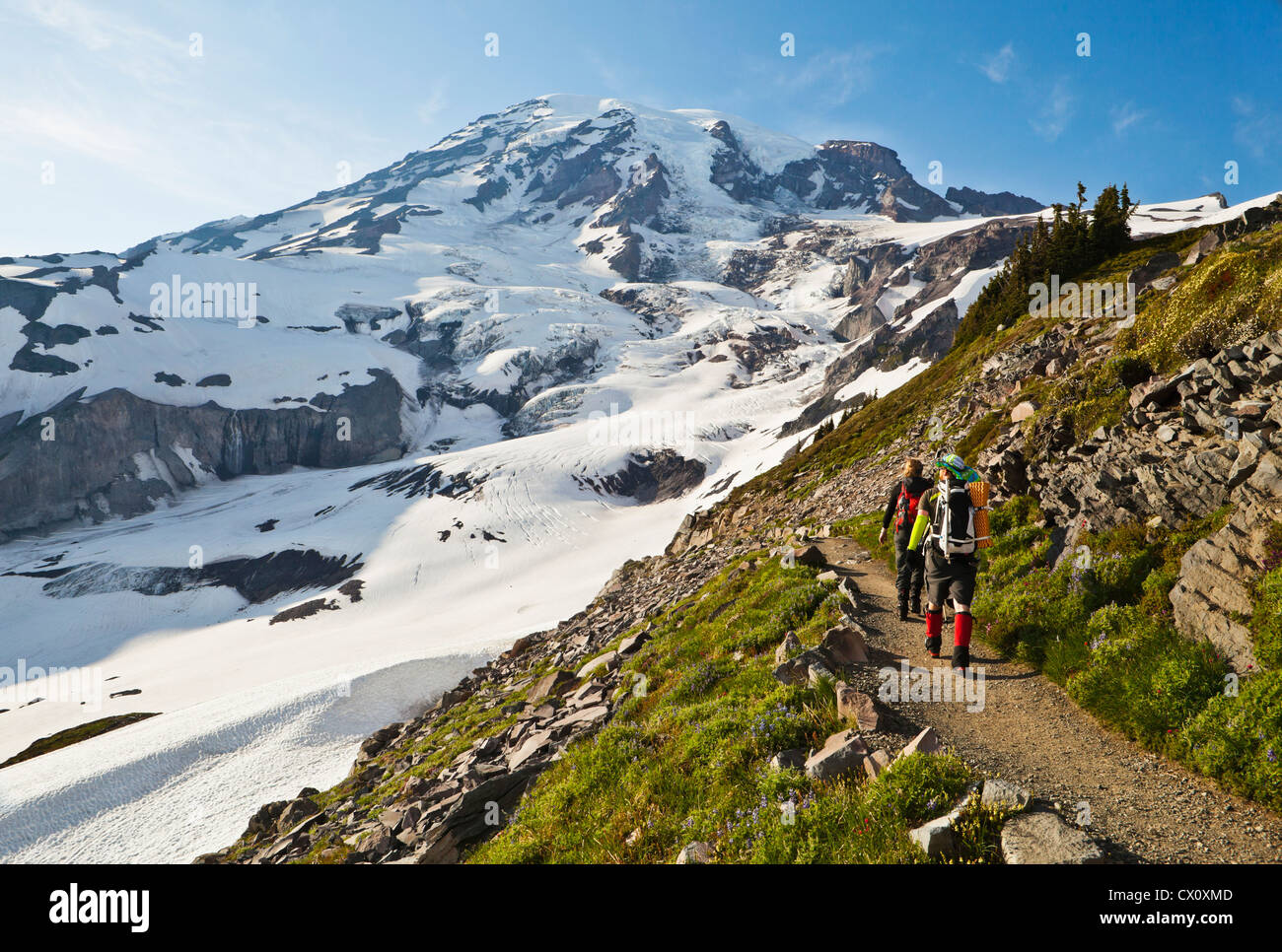 Climbers descending from Mount Rainier via the Skyline trail with the ...