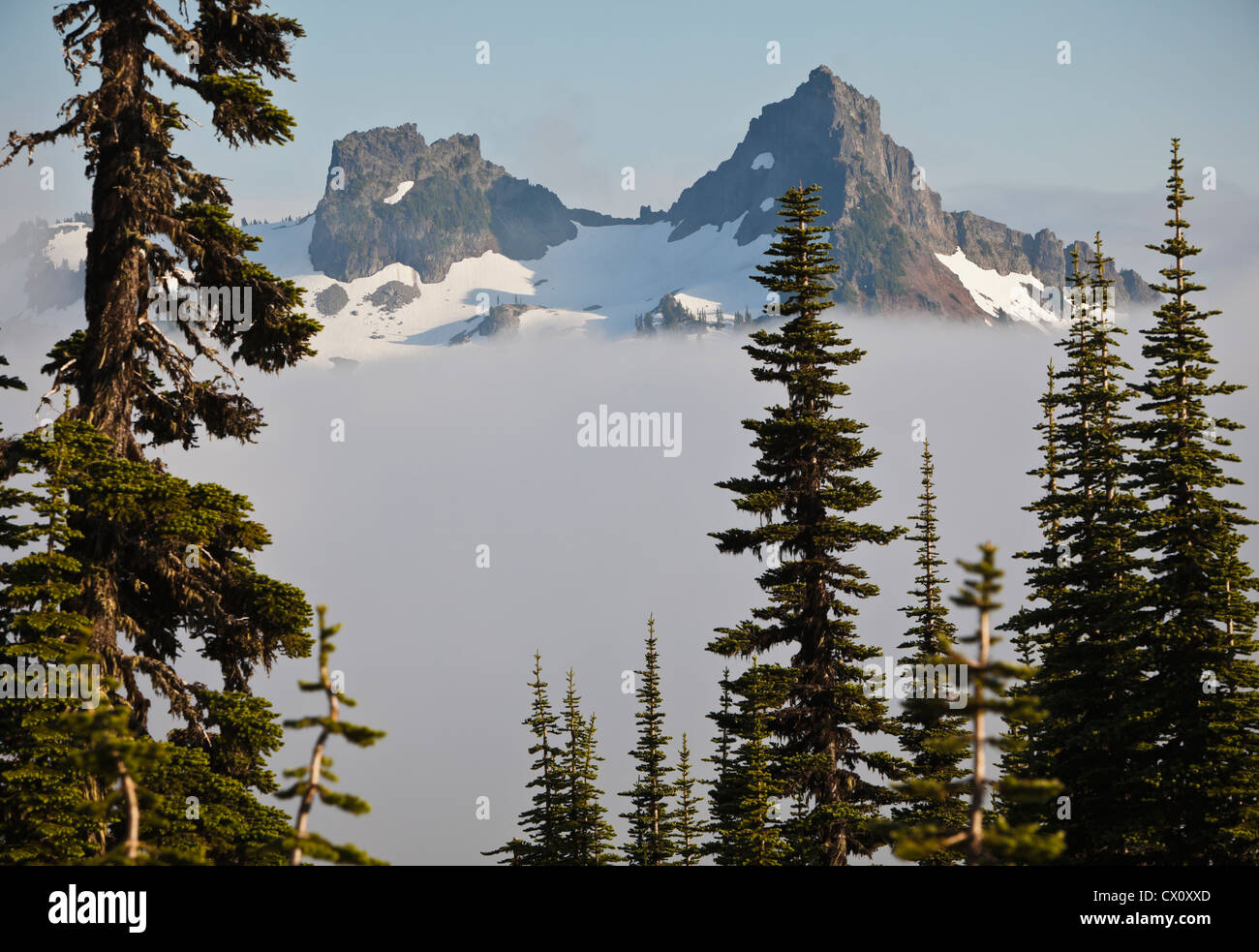 Pinnacle peak and The Castle peak in the Tatoosh range, Mount Rainier ...