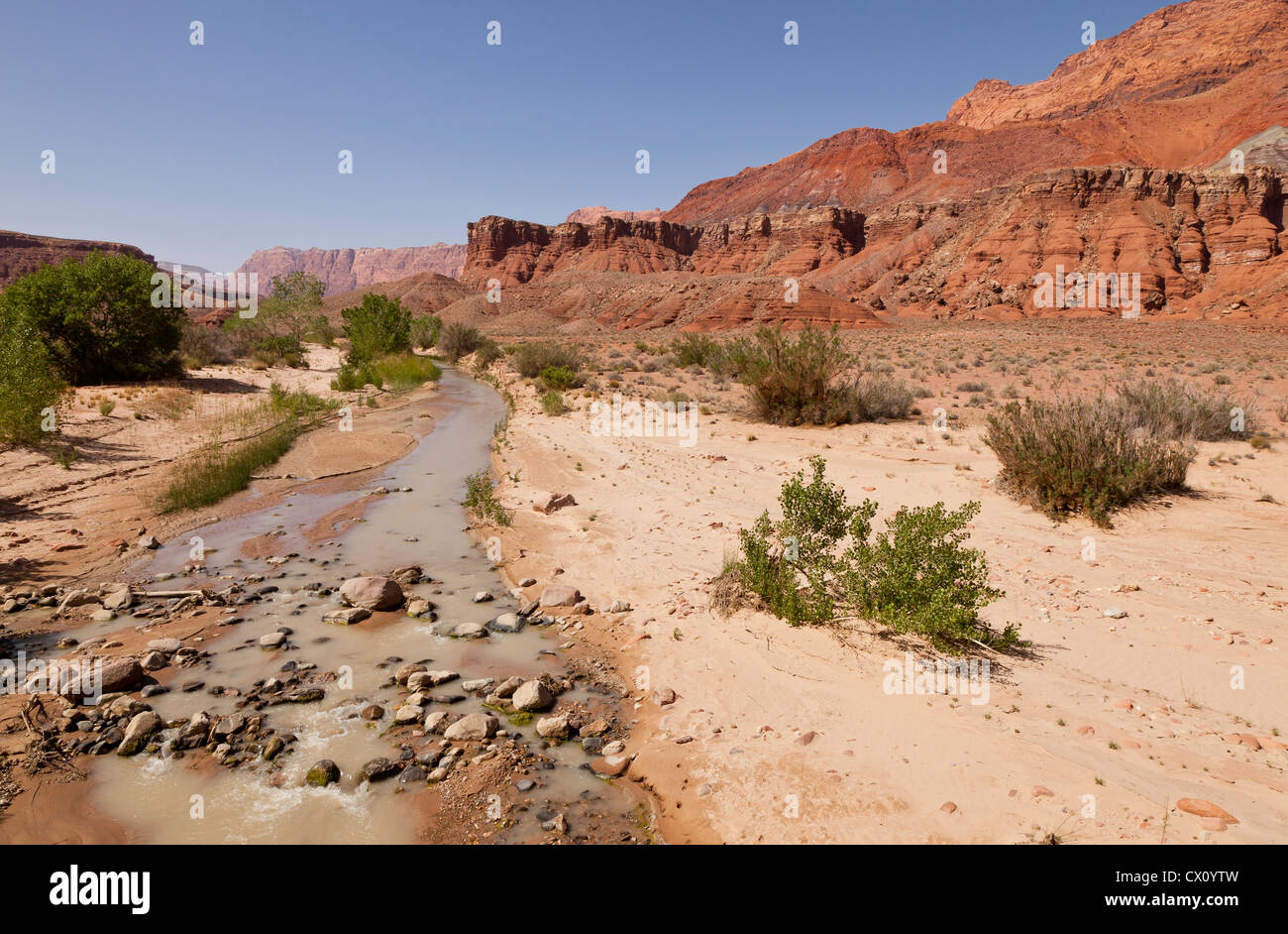 The Paria Canyon River running through the Lonely Dell Ranch at the ...