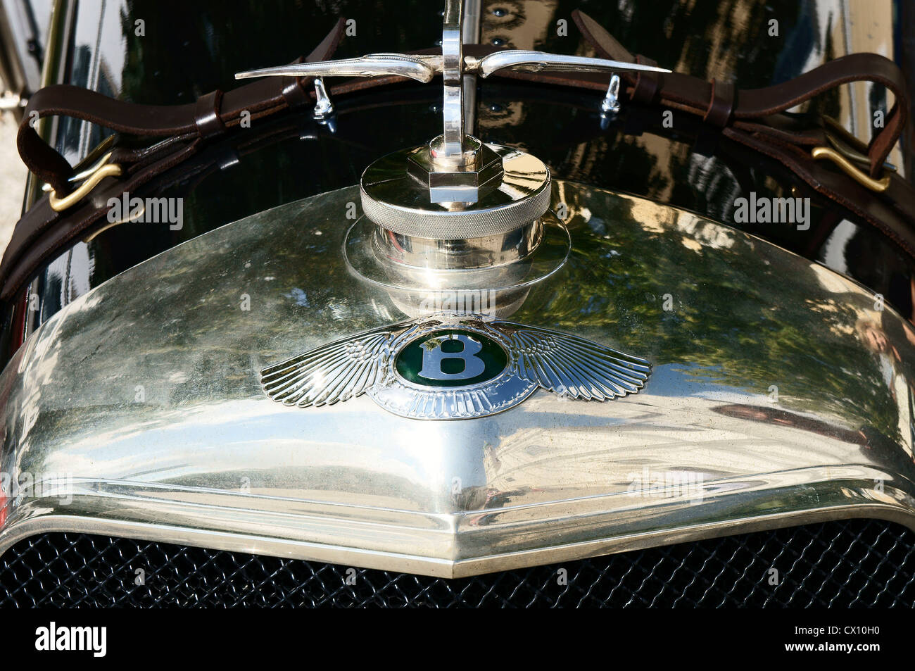 Bentley badge on hi-res stock photography and images - Alamy