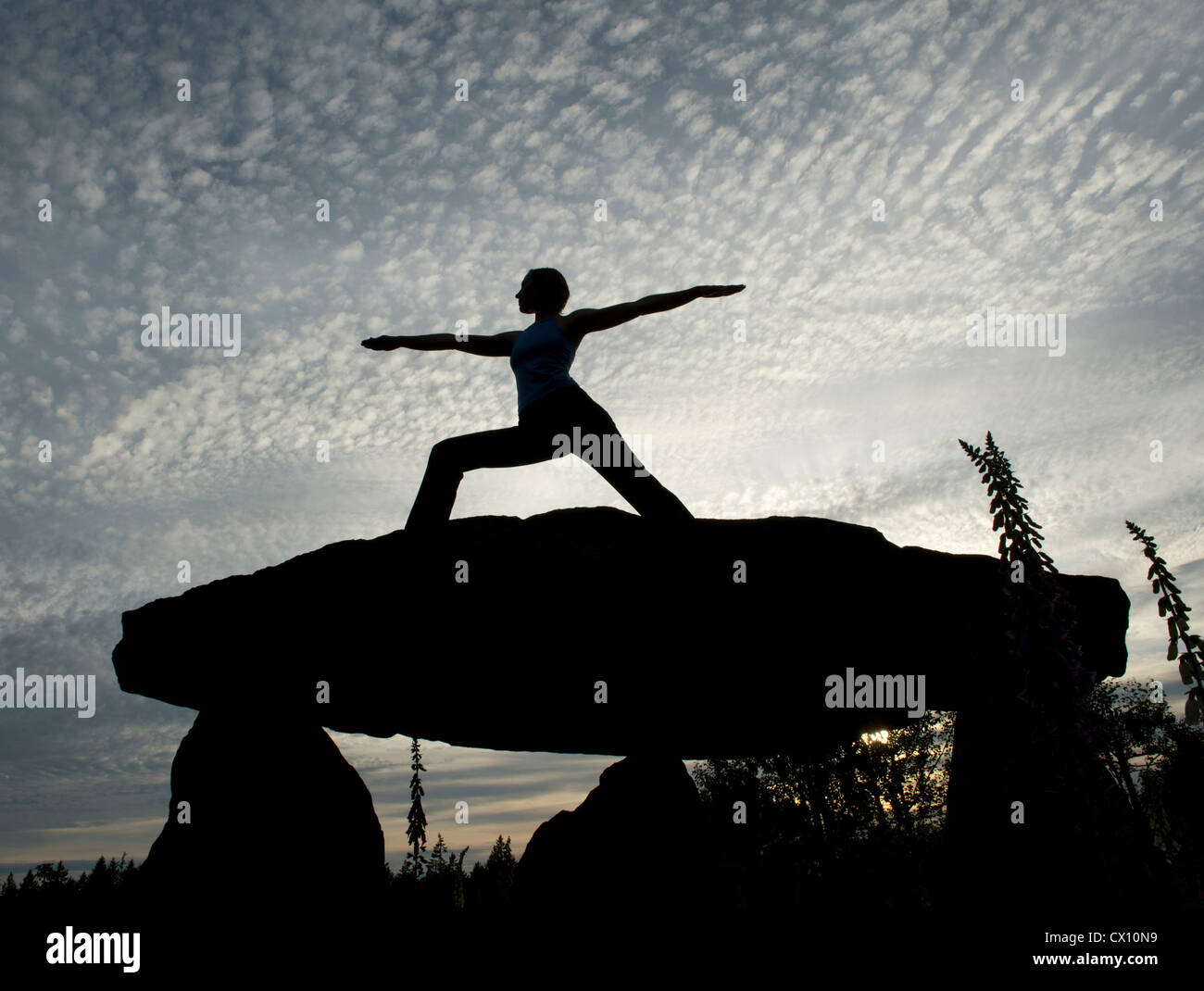 Silhouette of woman in warrior yoga pose on a rock Stock Photo - Alamy
