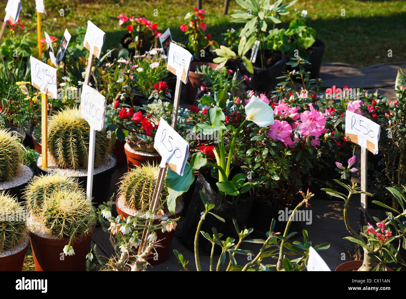 Nursery farmers selling plants hi-res stock photography and images - Alamy