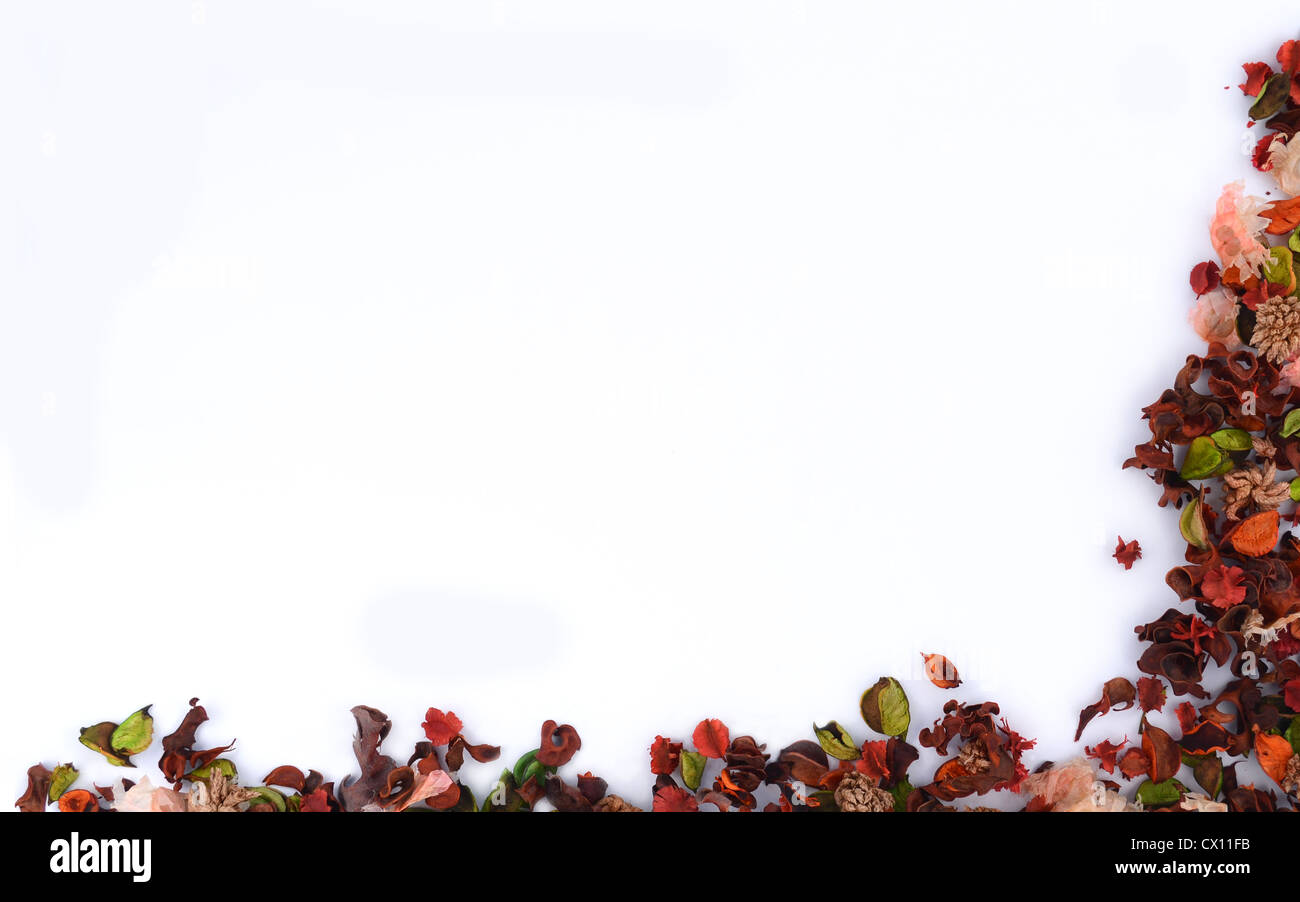 Fall Flowers Border Autumn Flowers Border Hi Res Stock Photography And