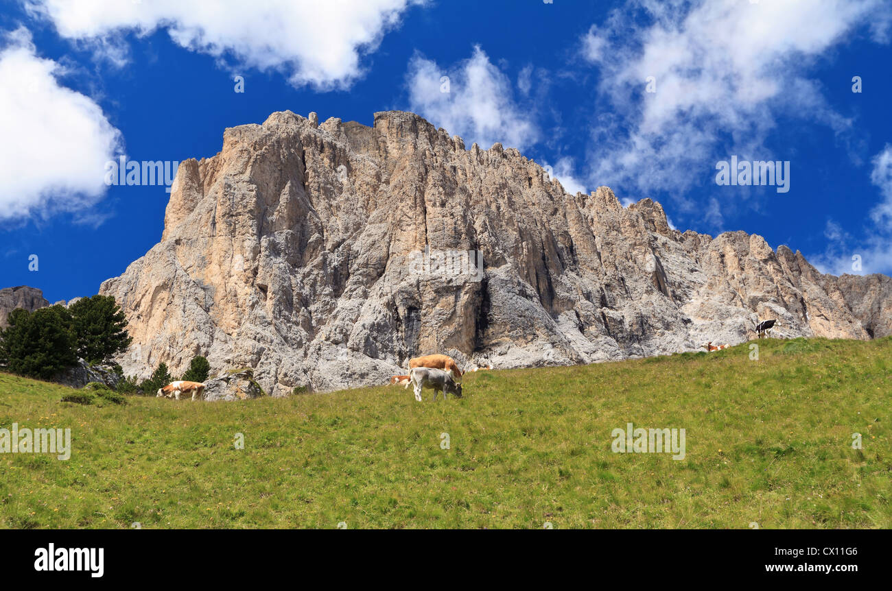 High Pasture High Resolution Stock Photography and Images - Alamy