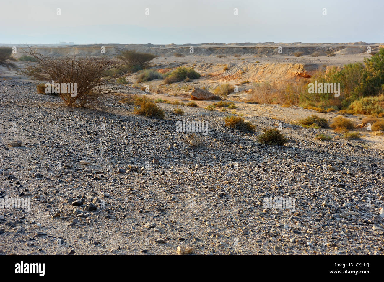 Arava desert (southern Israel) in the first rays of the sun Stock Photo ...