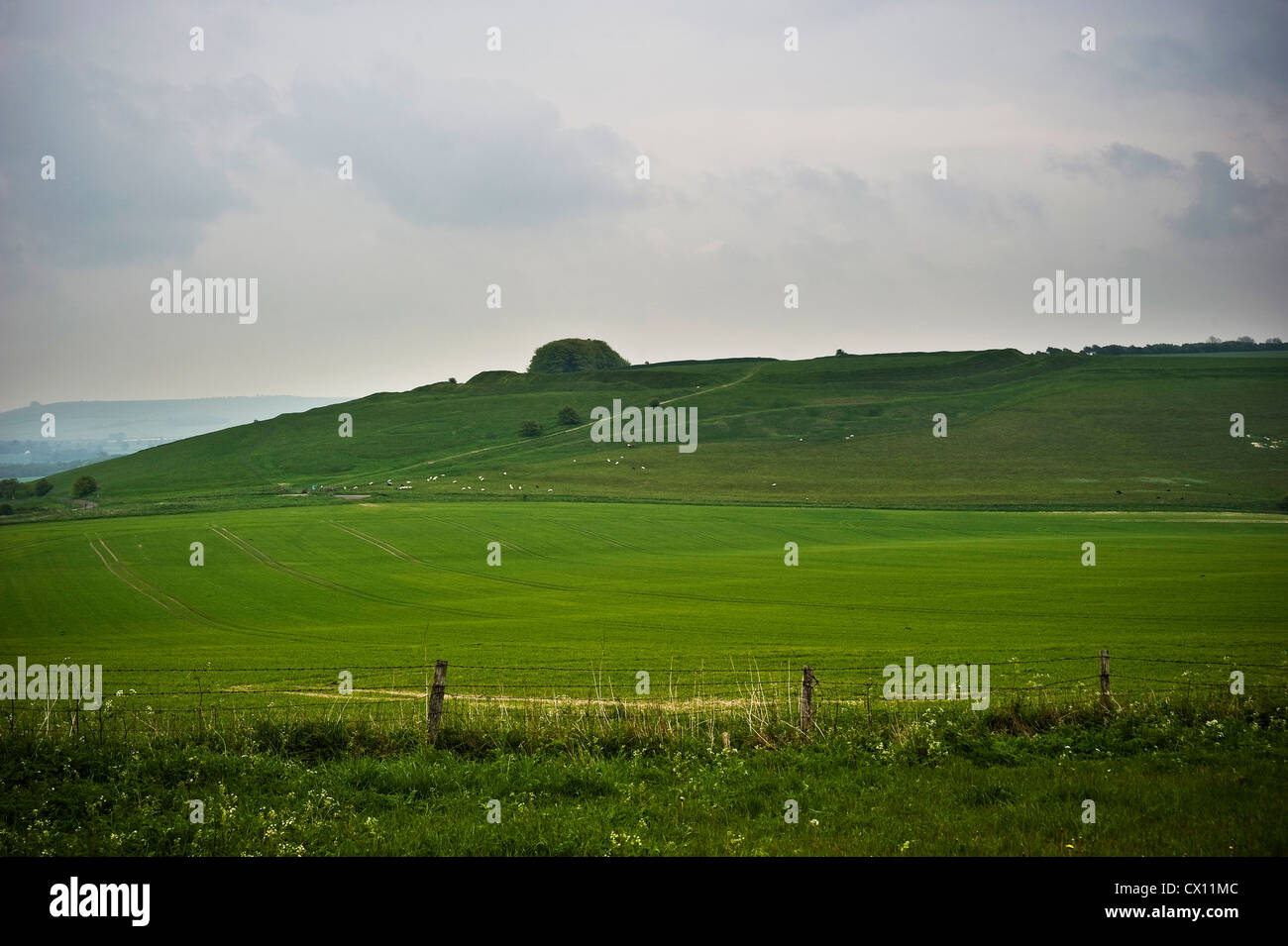 Barbury Castle Iron Age hill fort viewed from The Ridgeway, Wiltshire ...