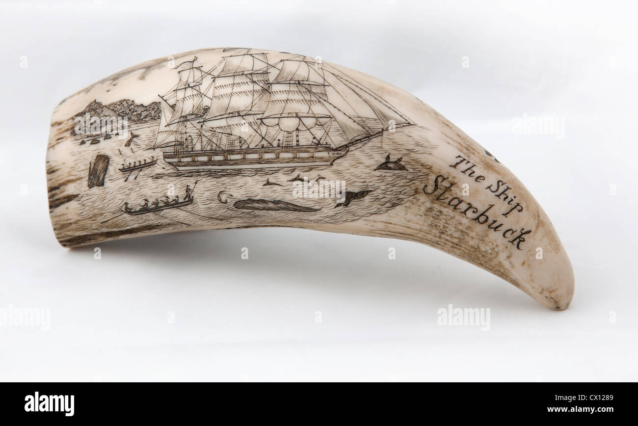 Whale tooth scrimshaw etched with whaling ship hunting and inscribed ...