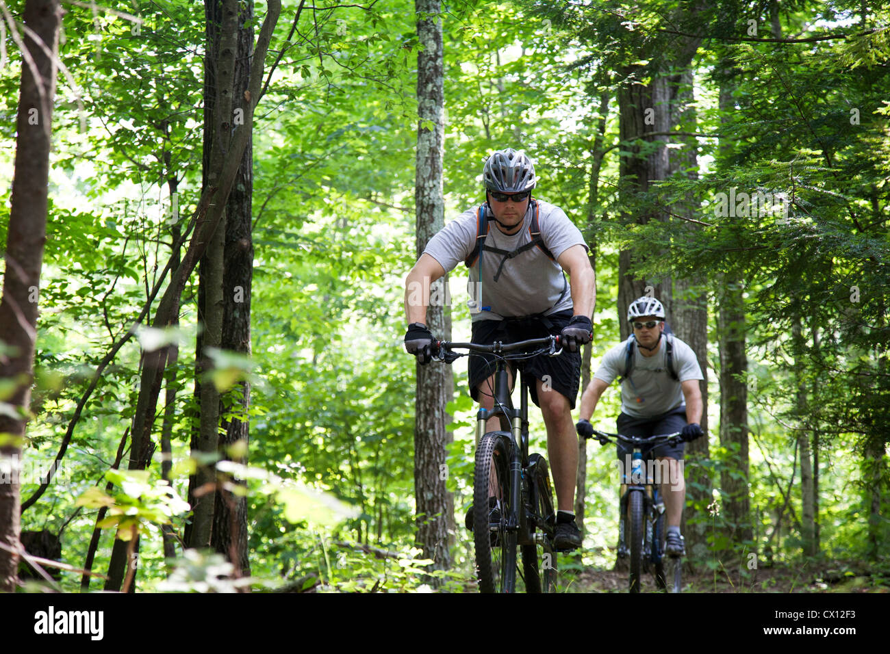 Two men mountain biking in forest Stock Photo - Alamy