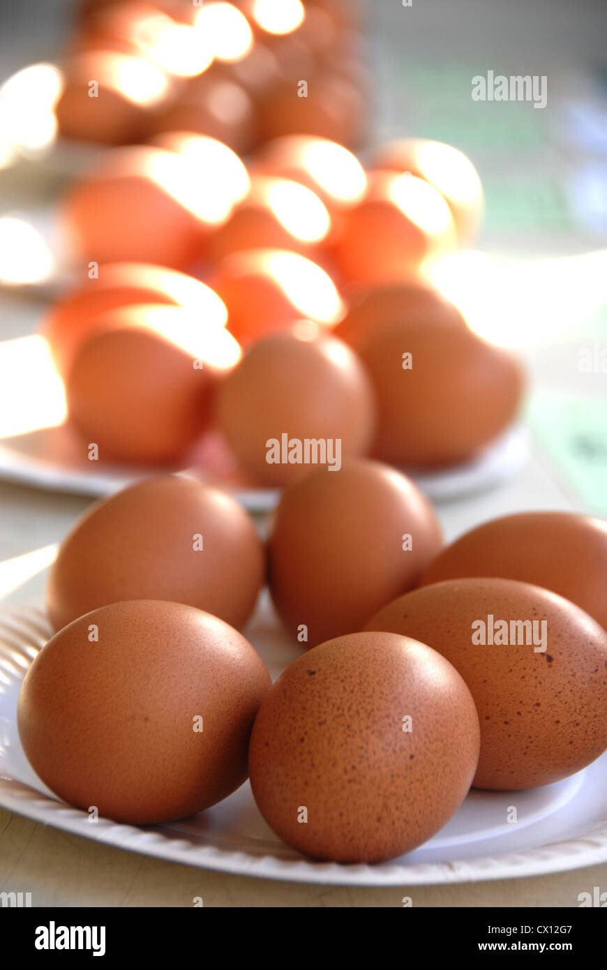 Eggs on display at an agricultural show Stock Photo - Alamy