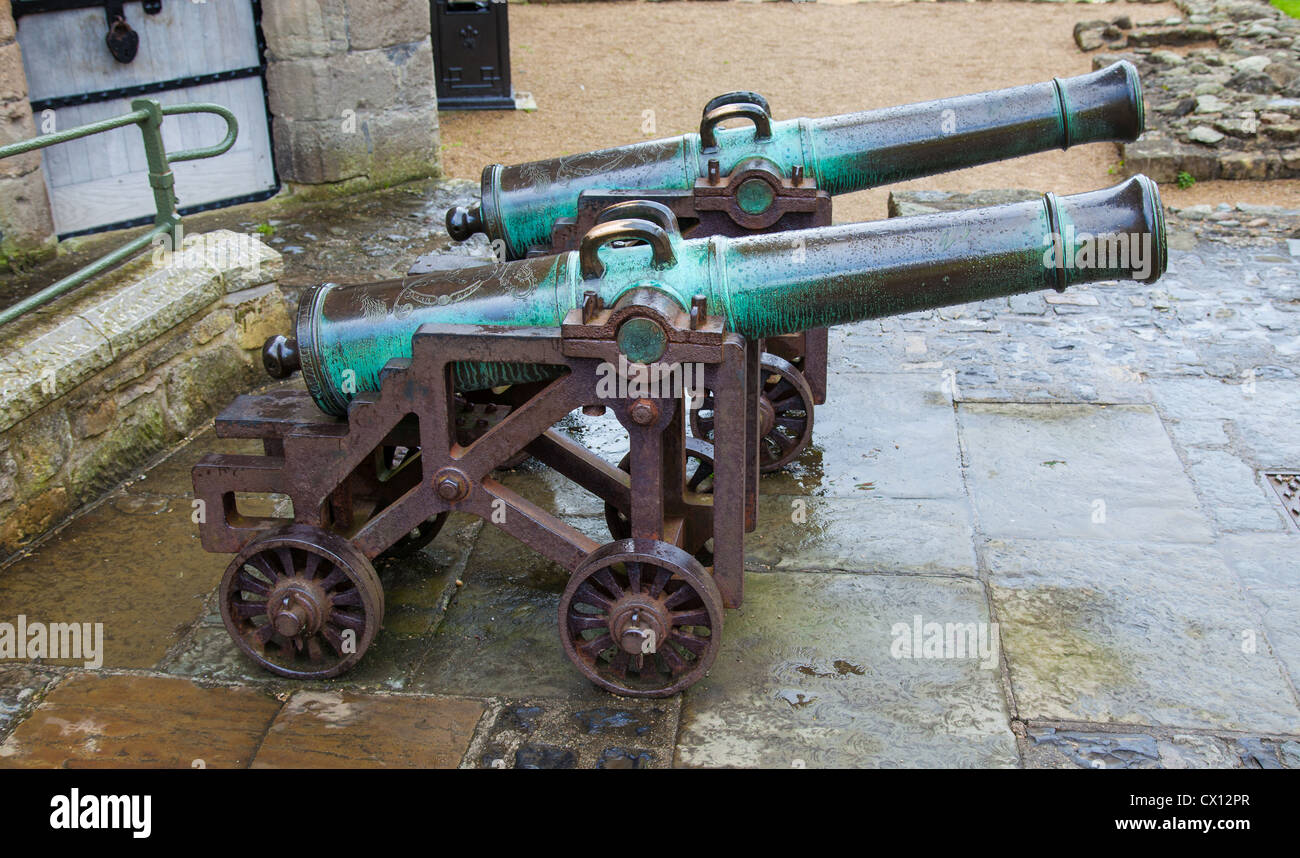 two canon side by side Stock Photo - Alamy