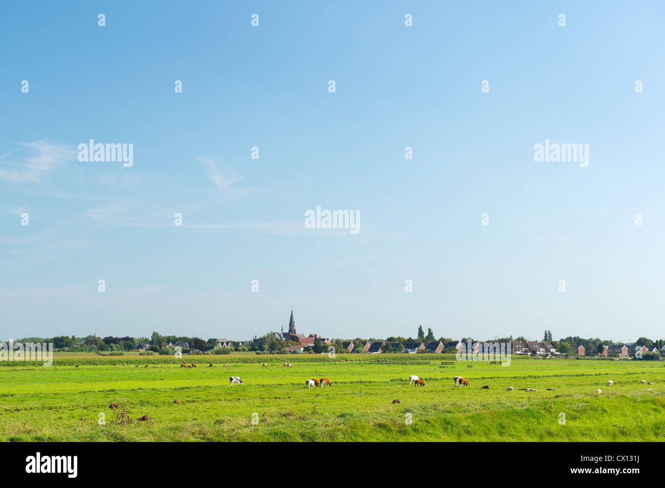 Reeuwijk in Holland Stock Photo - Alamy
