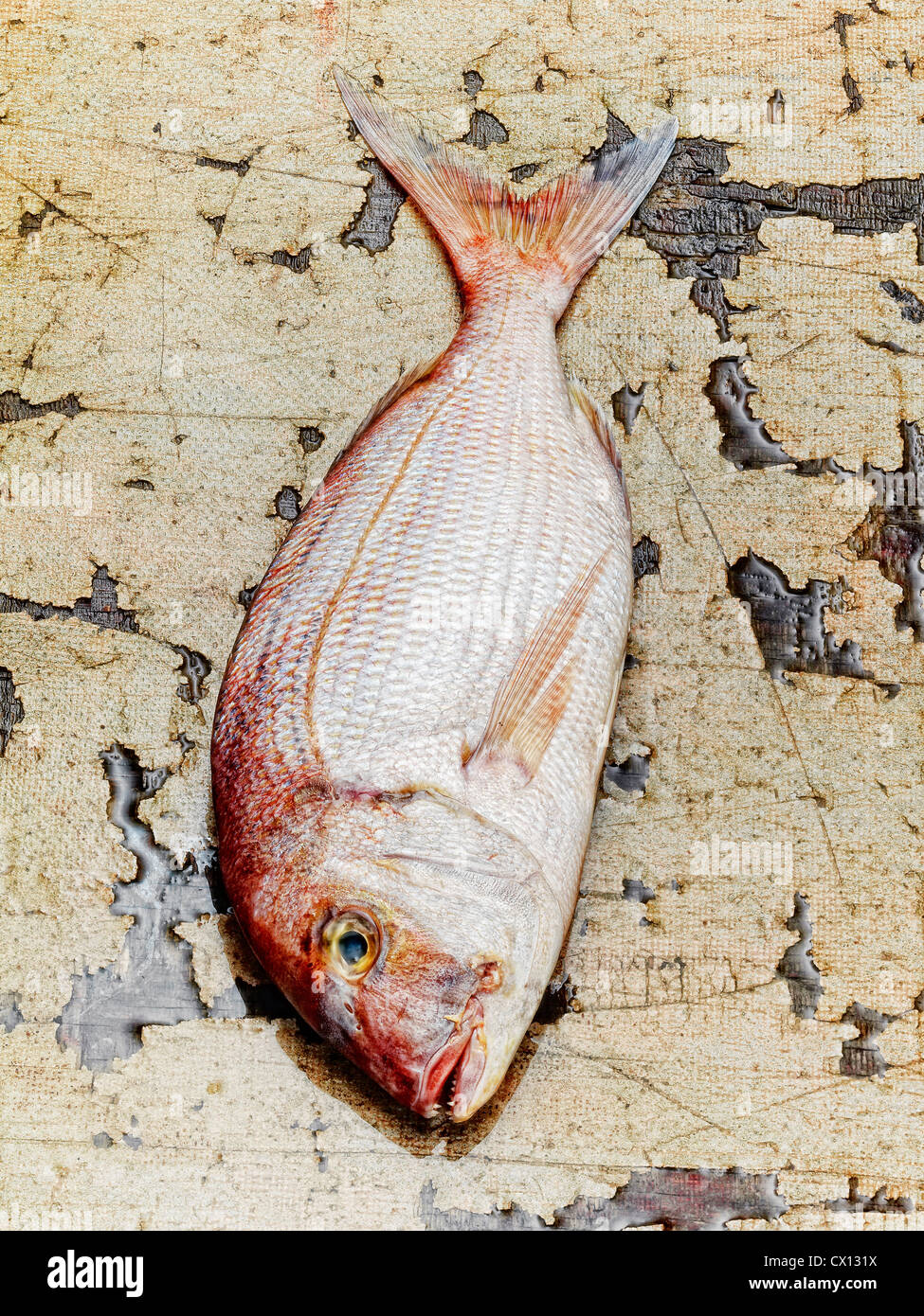 Whole fish hi-res stock photography and images - Alamy