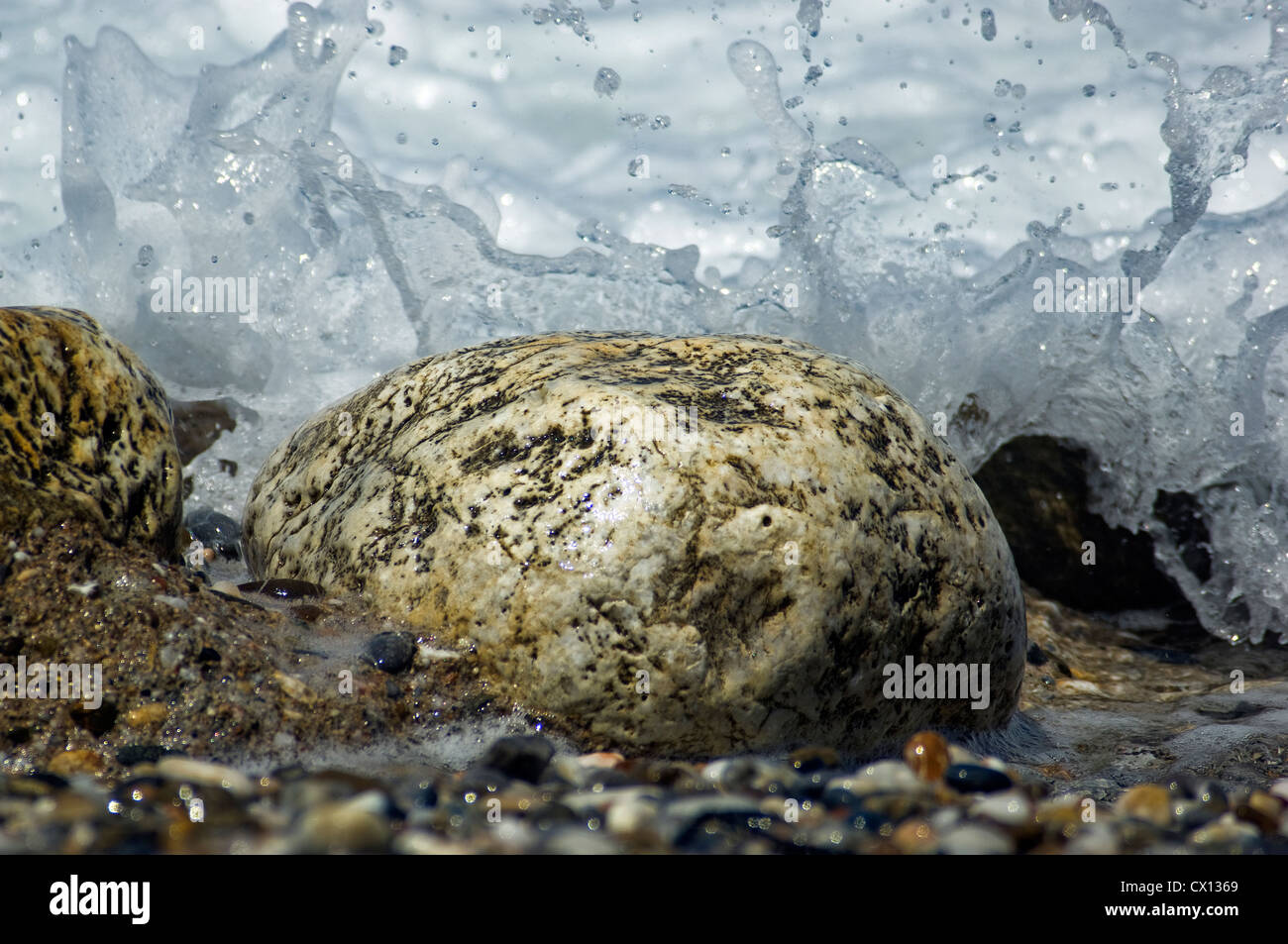 Frontal images hi-res stock photography and images - Alamy