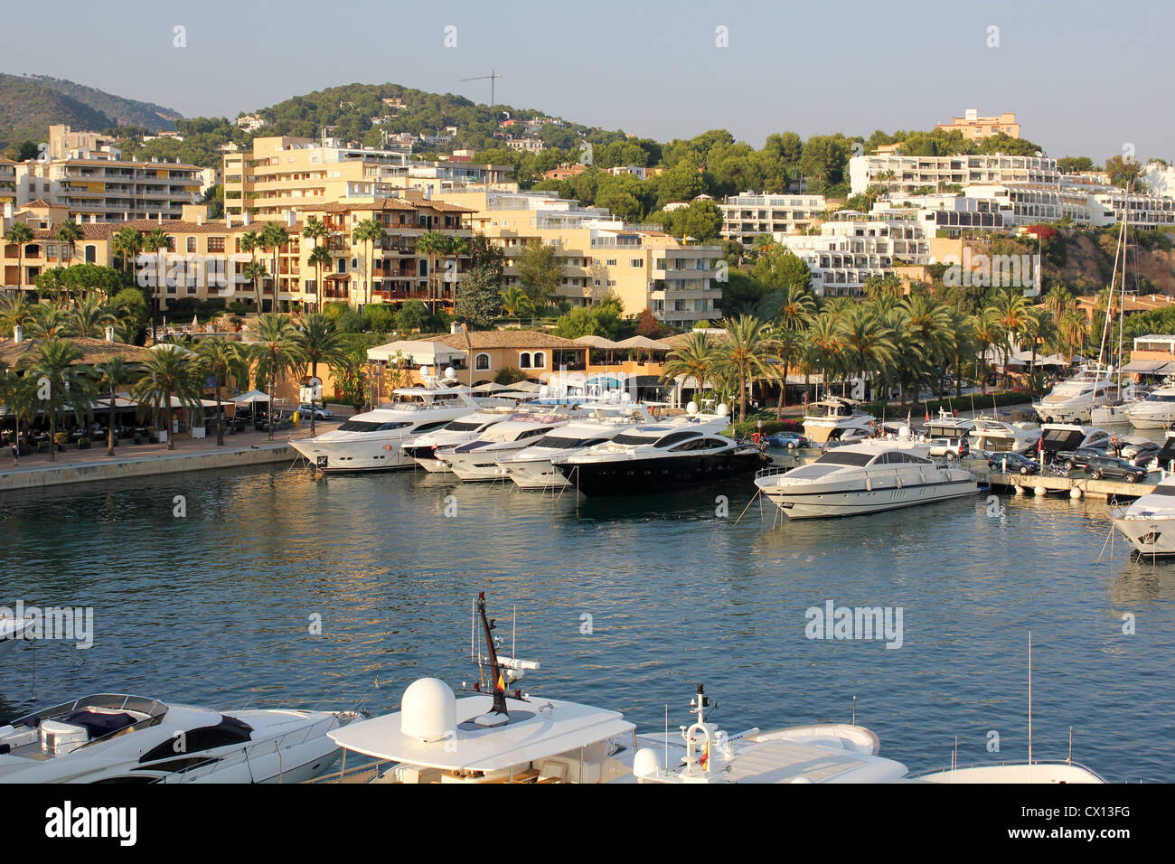Puerto Portals Marina at late afternoon - luxury superyachts ...