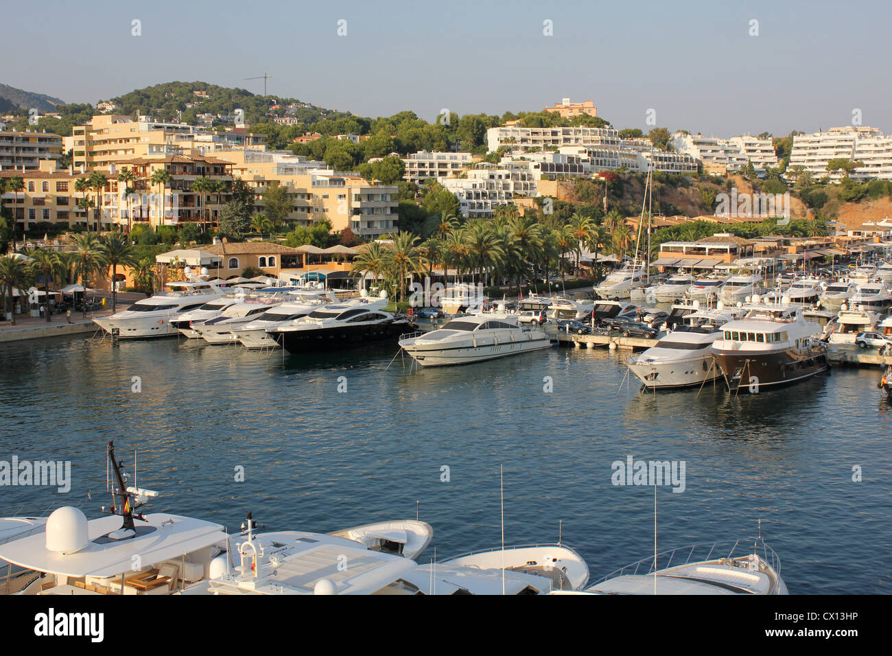 Puerto Portals Marina at late afternoon - luxury superyachts ...