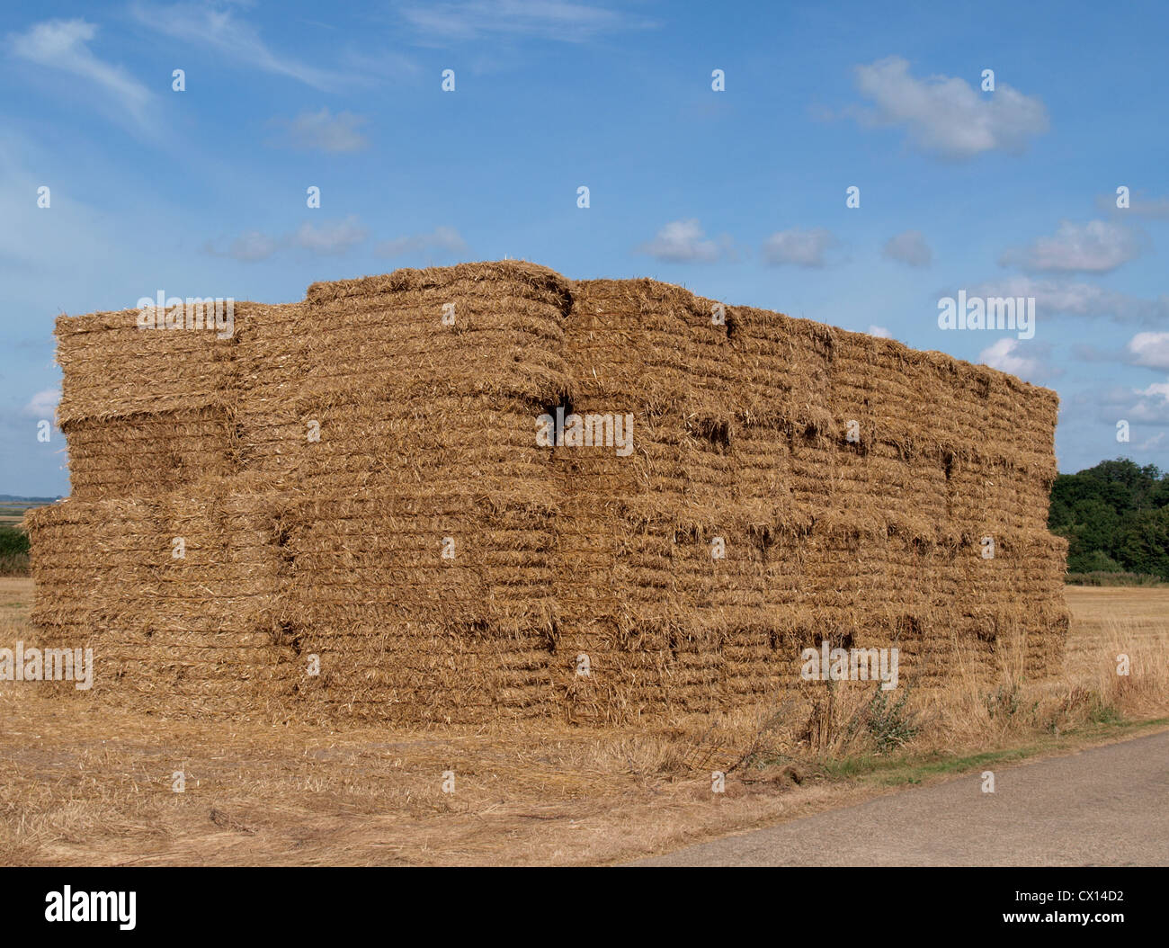 Stack of straw bales, Norfolk, UK Stock Photo - Alamy
