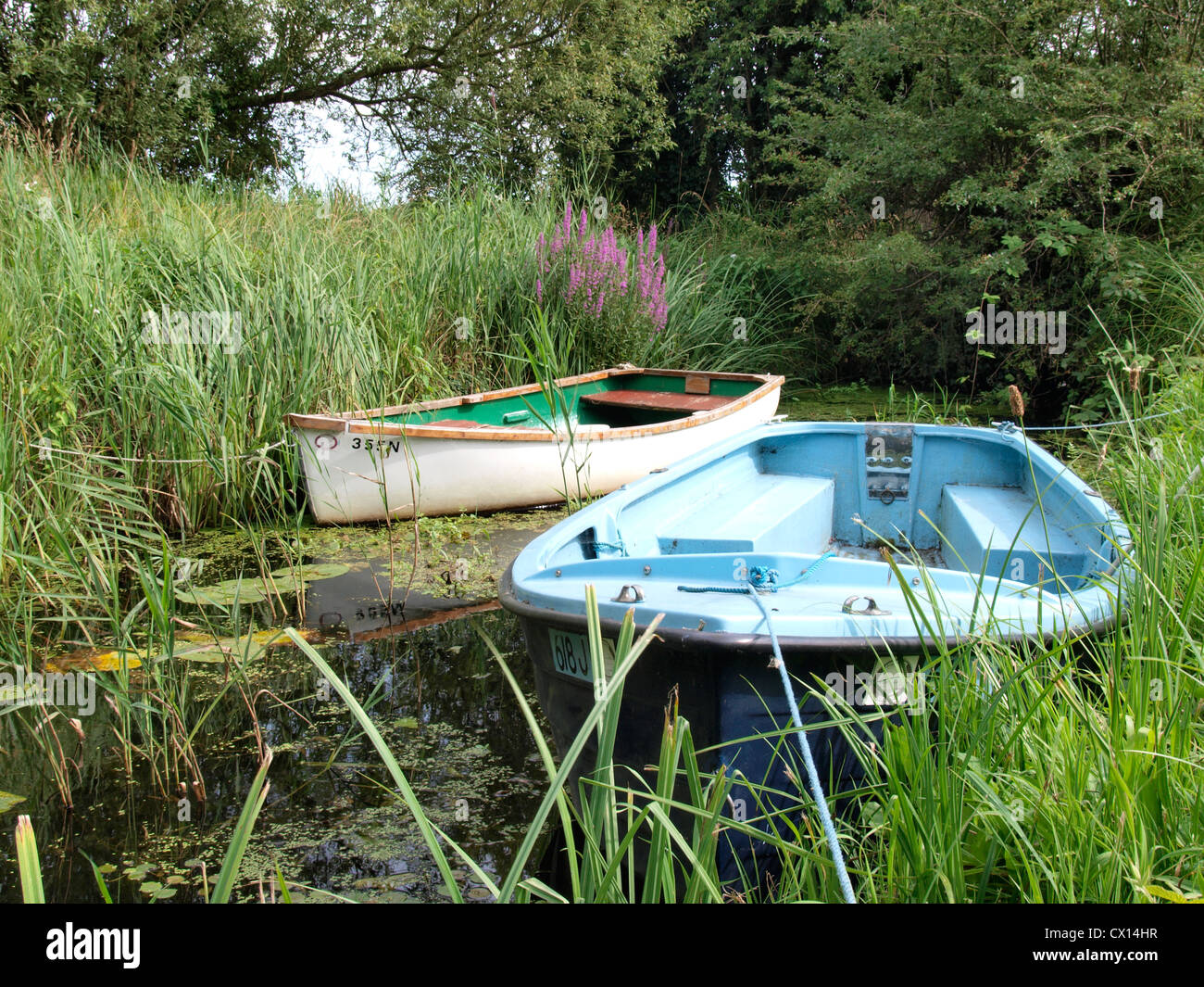 Front two rowing boats hi-res stock photography and images - Alamy
