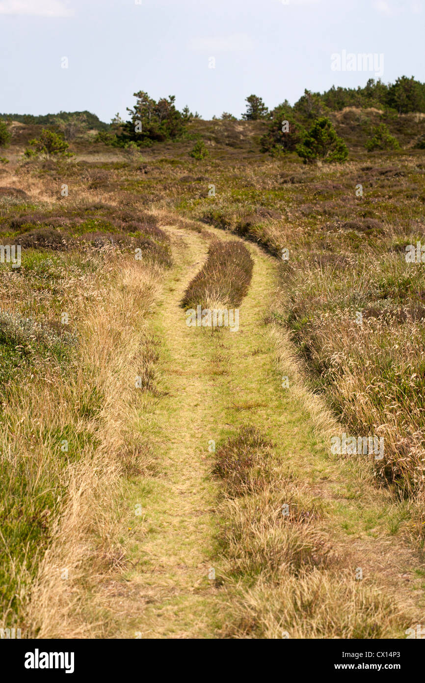 Romo denmark hi-res stock photography and images - Alamy