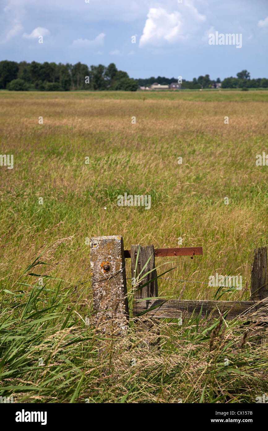 Polder landscape hi-res stock photography and images - Alamy