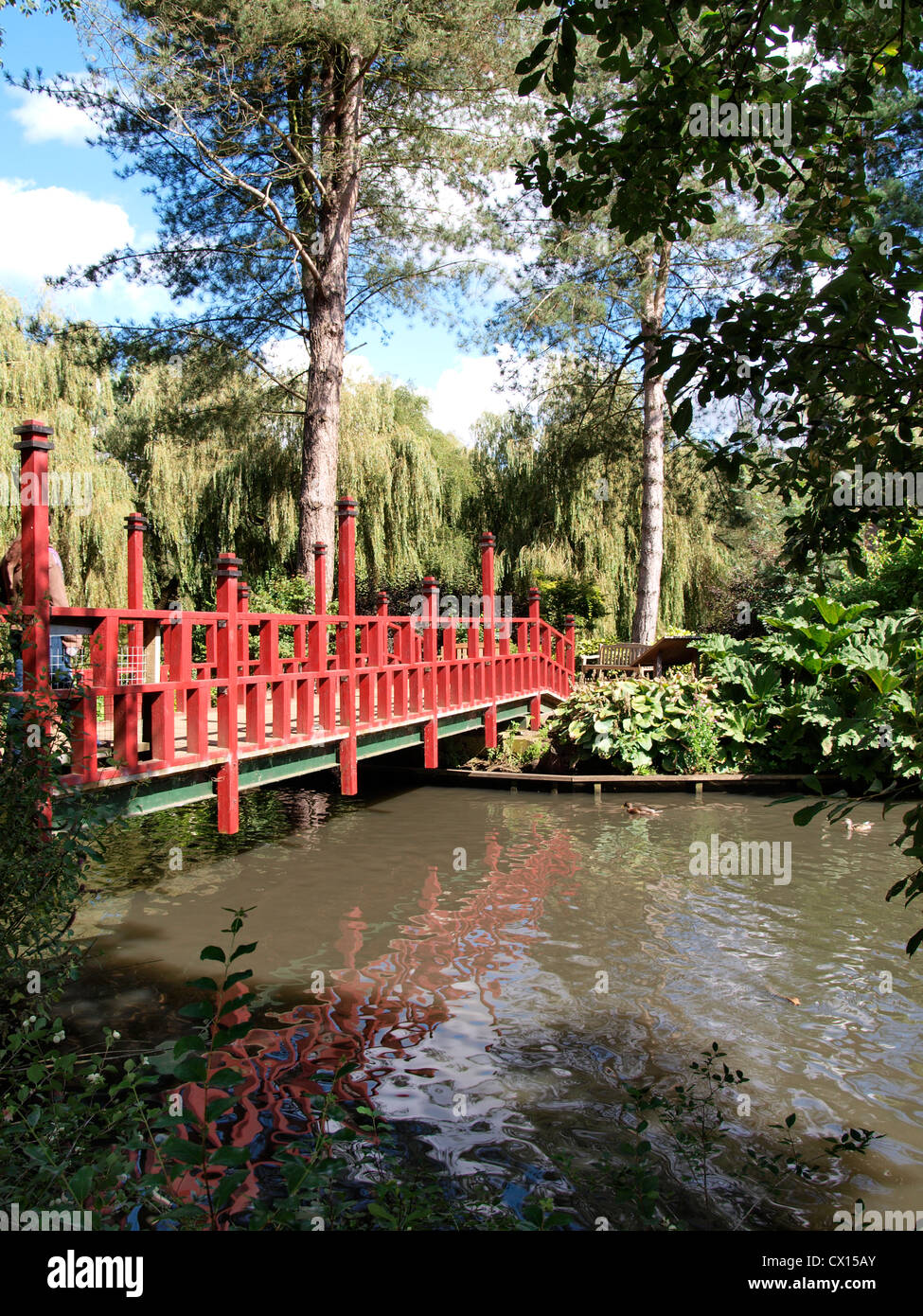 Oriental Style bridge, Beale Park, Reading, UK Stock Photo - Alamy