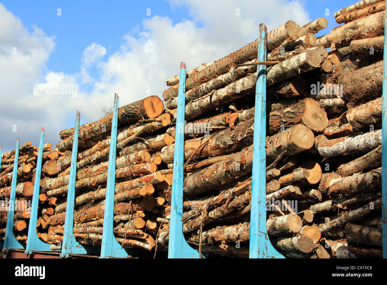 Timber Logs in a Rail Car Stock Photo - Alamy