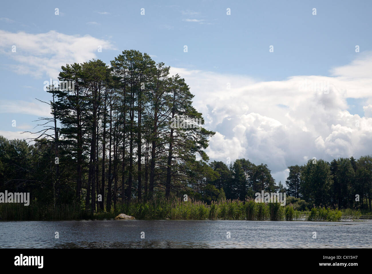 Wooded lake hi-res stock photography and images - Alamy